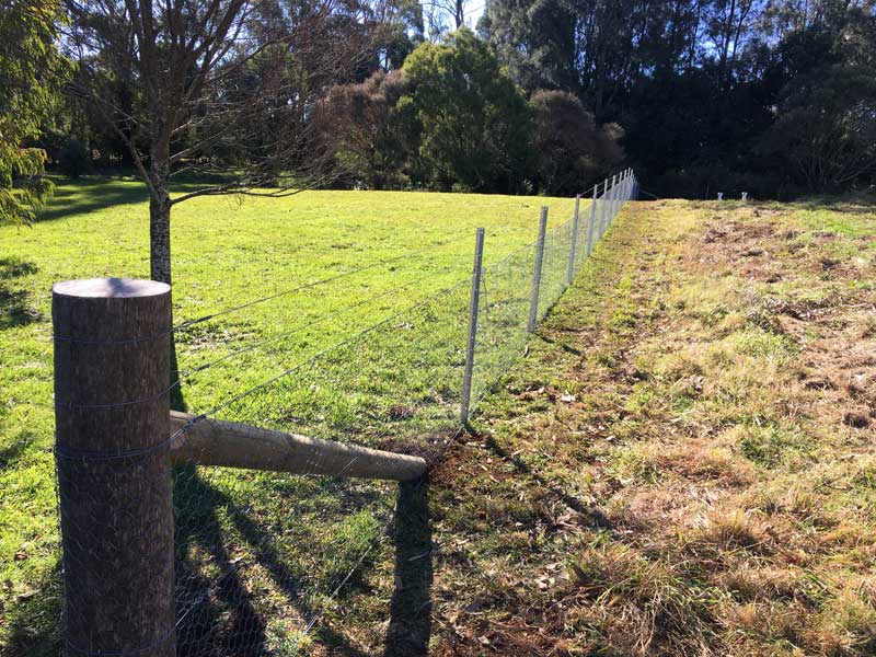 Gardening, Weed Removal & More in Southern Highlands & Surrounds